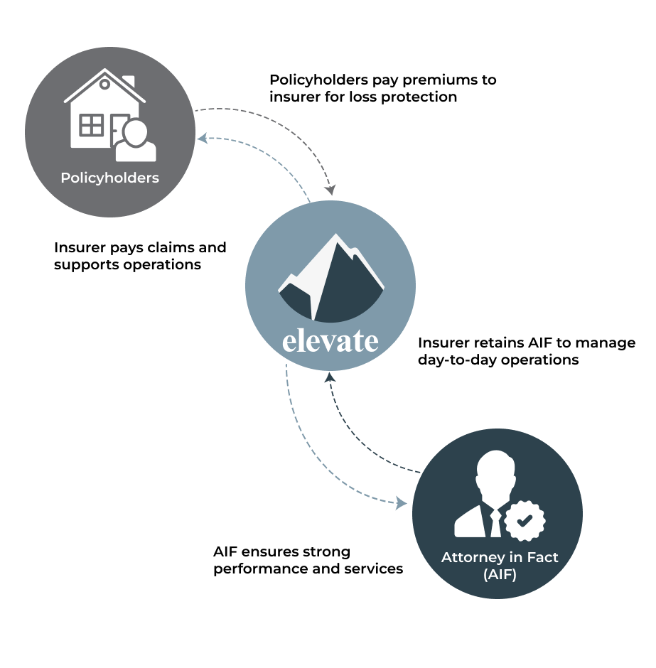 About Us - Elevate Insurance